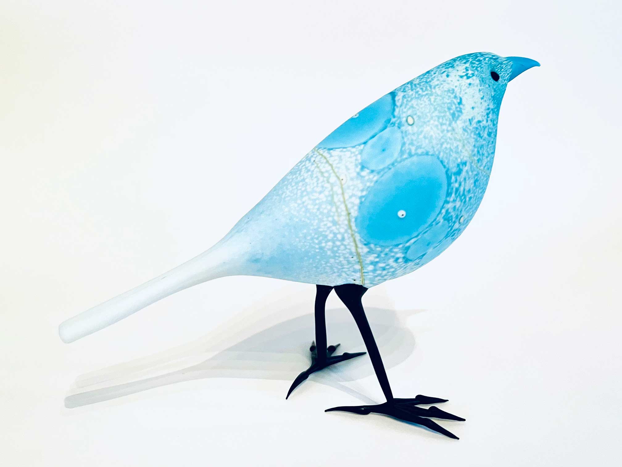 Shane Fero | Online Store